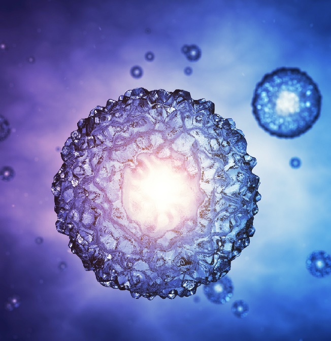 Blastocyst Culture And Transfer In Surat Gujarat Female First Hospital